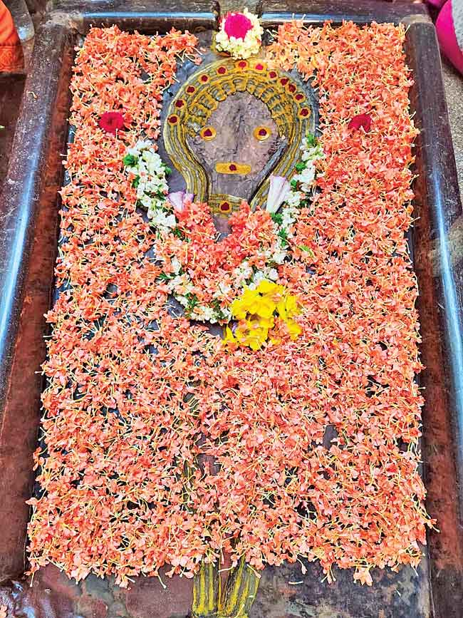 ఆదివారం ఆ ఊళ్లో మాంసం తినరు | significance-of-sri-kotturu-subbarayudu ...