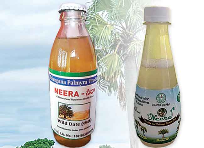 నీరా... రుచి చూద్దాం రా | benefits-of-neera-drink
