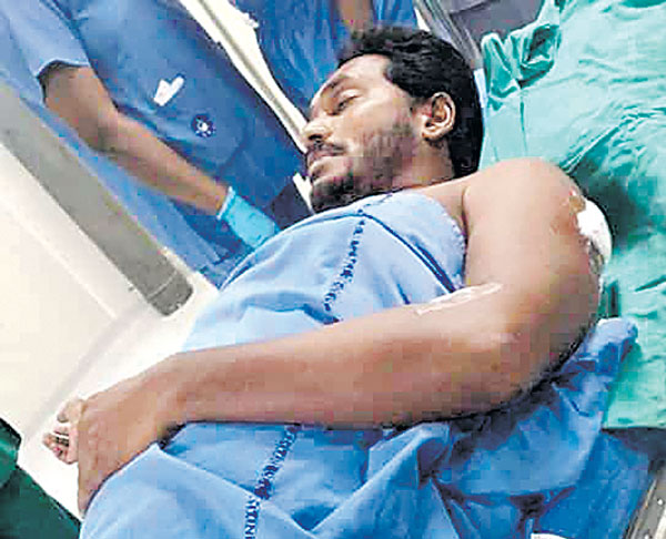 Kodi Kathi Case: జగన్‌కు సానుభూతి రావాలనే దాడి చేశా | general