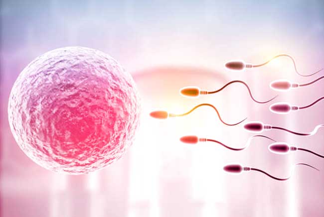 ఆ రోజుల్లో కలిస్తే.. గర్భం ధరించే అవకాశాలు ఎక్కువట | what-is-smep ...