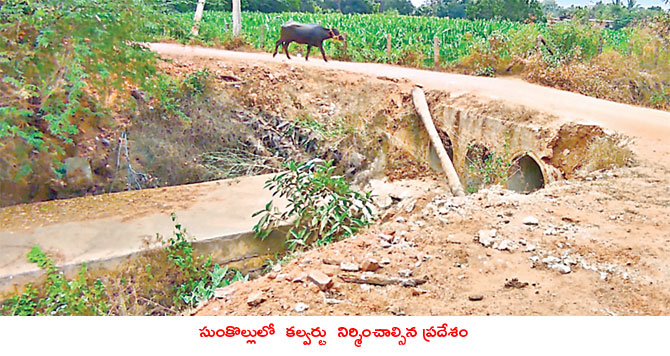 ప్రజలపై కాదు.. ప్రేమంతా ఓట్లపైనే | general