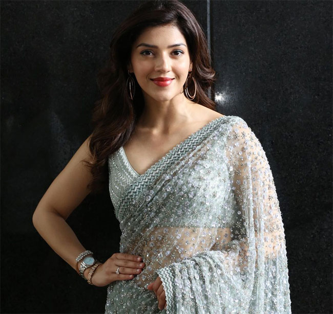 Mehreen: ‘గ్యాప్‌ తీసుకోవడానికి కారణం ఏమిటి’.. విలేకరి ప్రశ్నకు ...