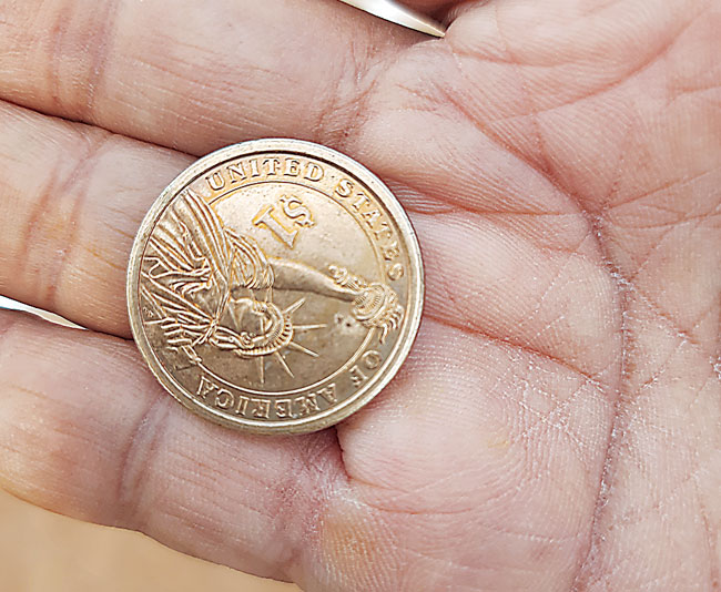 toss Coin: ఇదండీ టాస్‌ కాయిన్‌ | story-behind-toss-coin