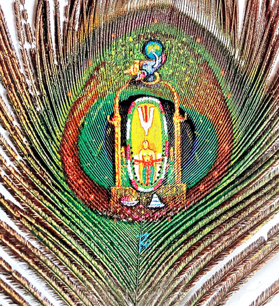 నెమలి పింఛంపై అప్పన్న నిజ రూపం | general