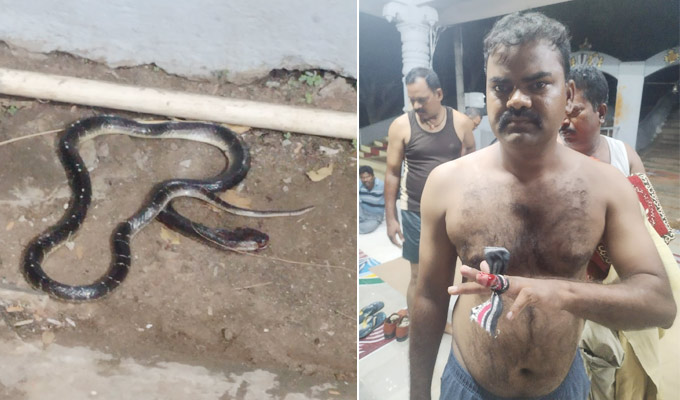Snake Bite: నిద్రిస్తున్న కానిస్టేబుల్‌కు పాముకాటు | snake-bites-ap ...