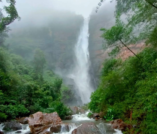 Mulugu: ములుగు జిల్లాలో అడవిలో చిక్కుకున్న 84 మంది పర్యాటకులు ...