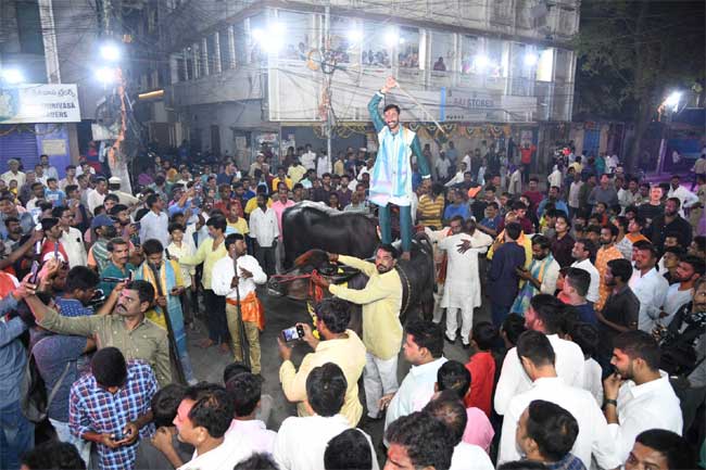 Sadar festival: హైదరాబాద్‌లో సంబురంగా సదర్‌.. ఈ దున్నరాజాలదే హవా ...