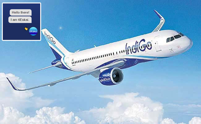 Indigo AI chatbot: ఇండిగో నుంచి ఏఐ చాట్‌బాట్.. తెలుగులోనూ సేవలు ...