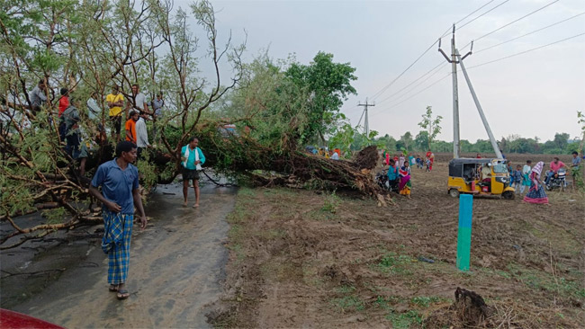 Adilabad: ఈదురు గాలులతో కూడిన భారీ వర్షం | heavy-rain-with-gusty-winds