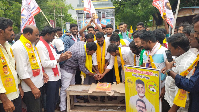 పత్తికొండలో తెలుగు యువత ర్యాలీ | tdp-leaders-rally-in-pathikonda