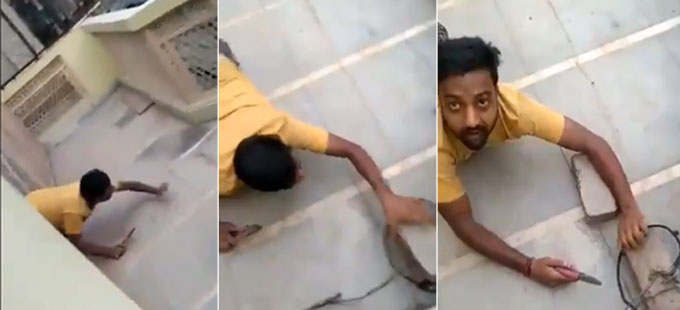 Viral: పాక్కుంటూ పైకెళ్లి.. అడ్డంగా బుక్కయ్యాడు | on-camera-he-crawled ...