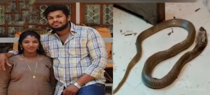 Uthra murder case: పాముతో భార్యను చంపించిన భర్తకు రెండు జీవితఖైదుల ...