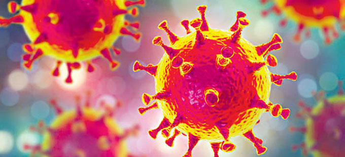 Omicron: మరో 17 ఒమిక్రాన్‌ కేసులు | omicron