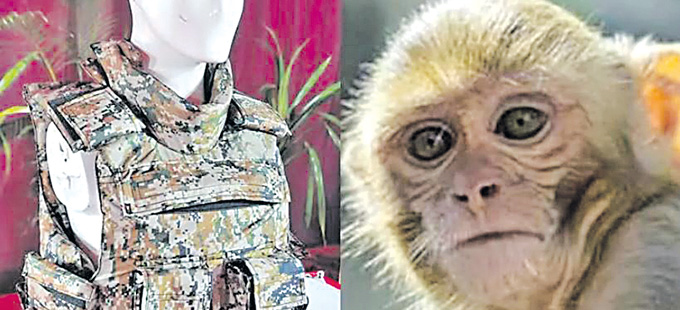 Monkey: బుల్లెట్‌ ప్రూఫ్‌ జాకెట్‌లో కోతి.. పోలీస్‌ షూటౌట్‌లో మృతి ...