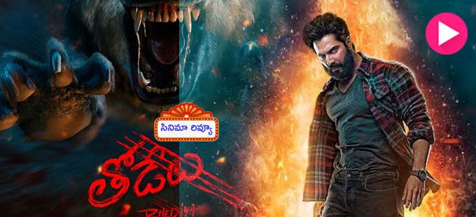 Thodelu Review: రివ్యూ: తోడేలు | varun-dhawan-new-movie-thodelu-review