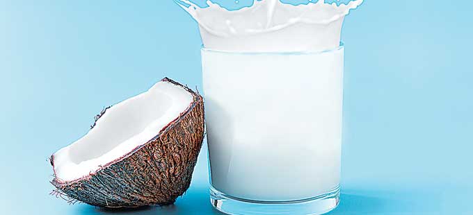 కొబ్బరిపాలతో వృద్ధాప్యఛాయలు దూరం.. | amazing-benefits-of-coconut-milk ...