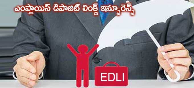 EDLI Scheme: ఈడీఎల్‌ఐ స్కీమ్ గురించి తెలుసా? పూర్తి వివరాలు ఇవిగో ...