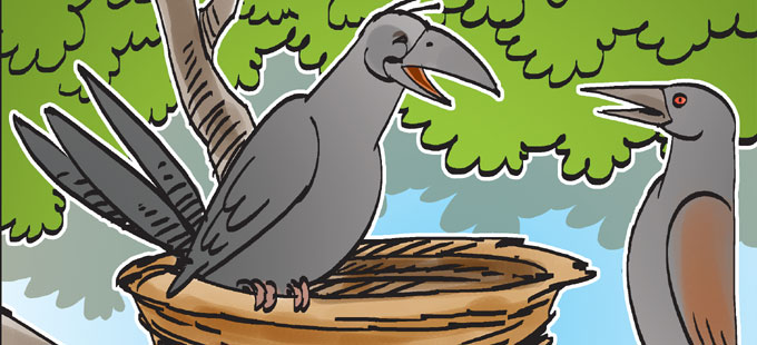 ఎవరి గొప్ప వారిది | moral-story-of-crow-and-cuckoo-friendship