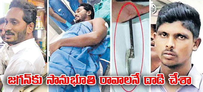 Kodi Kathi Case: జగన్‌కు సానుభూతి రావాలనే దాడి చేశా | general