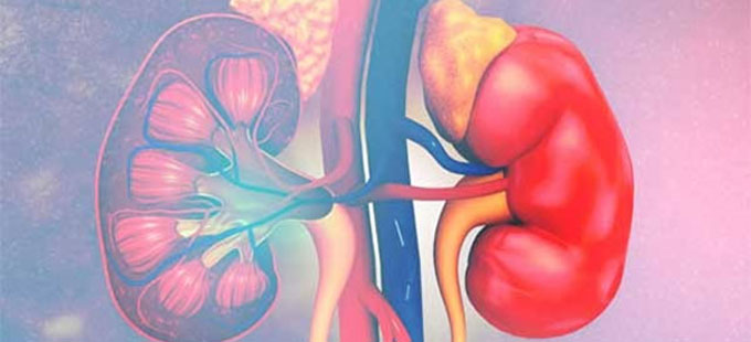 Visakhapatnam - kidney racket: పేదల కిడ్నీలు కొట్టేస్తున్నారు | general