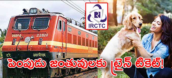 IRCTC: త్వరలో పెంపుడు జంతువులకు రైలు టికెట్‌.. ఎలా చేసుకోవాలంటే ...