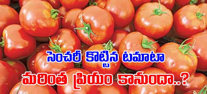 Tomato: సెంచరీ కొట్టిన టమాటా.. మరింత ప్రియం కానుందా..? | tomato-prices-soar-across-country-due ...