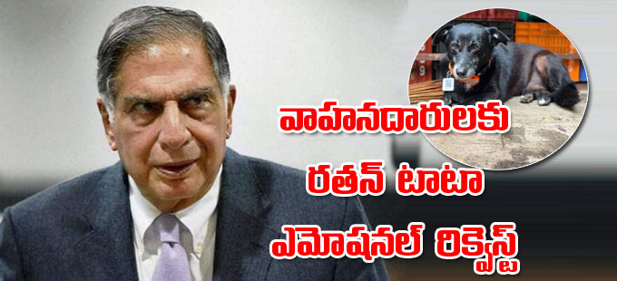 Ratan Tata వాహనదారులకు రతన్ టాటా ఎమోషనల్ రిక్వెస్ట్ Ratan Tatas Special Request In Insta Post