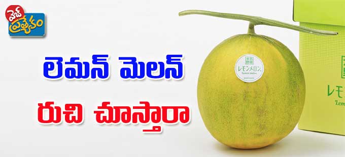 Lemon melon : ‘లెమన్‌ మెలన్’ రుచి చూస్తారా.. పేరుకు తగ్గ పండు ...