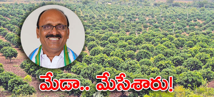 Meda Mallikarjuna Reddy: మేడా.. మేసేశారు | general
