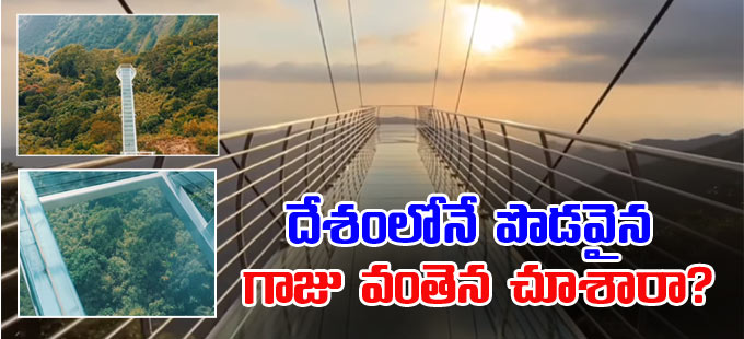 Glass Bridge: భారత్‌లోనే అతి పొడవైన గాజు వంతెన చూశారా? | indias-longest ...