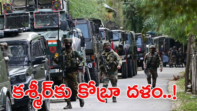 CoBRA Unit: జమ్మూ కశ్మీర్‌కు తొలిసారి కోబ్రా యూనిట్‌.. | crpf-elite ...