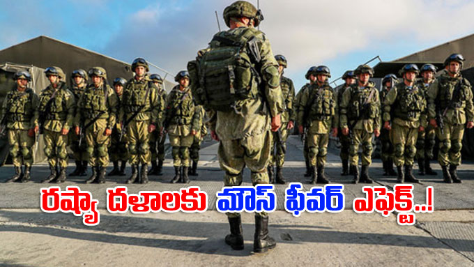 Mouse fever: రష్యా దళాలకు ‘మౌస్‌ ఫీవర్‌’ ఎఫెక్ట్‌.. ఉక్రెయిన్ వెల్లడి ...