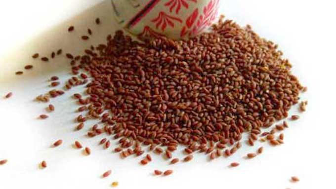 అందుకే ఈ గింజలు తీసుకోవాలట.. | aliv-seeds-benefits-of-in-telugu