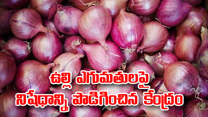 Onion exports: ఉల్లి ఎగుమతులపై నిషేధాన్ని పొడిగించిన కేంద్రం | govt-extends-ban-on-onion-exports ...