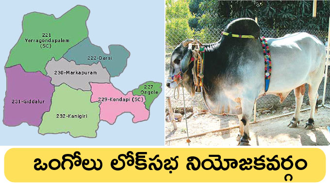 ఒంగోలు | ongole-lok-sabha-constituency-information