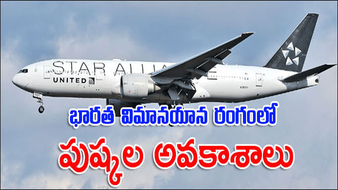Air India: భారత విమానయాన రంగంలో పుష్కల అవకాశాలు | ample-opportunities-in-indian-aviation-sector