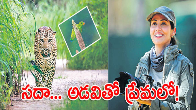 Sadha: సదా... అడవితో ప్రేమలో | wildlife-photographer-sadha-syed