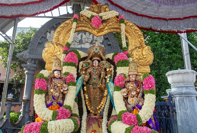 Tirumala: తిరుమల శ్రీవారికి శాస్త్రోక్తంగా జ్యేష్టాభిషేకం ...