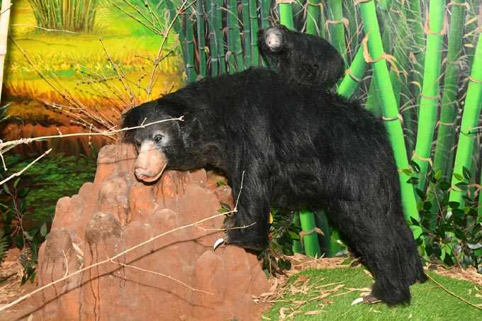 Animals : ఆకట్టుకుంటున్న నల్లమల వన్యప్రాణుల బొమ్మలు | Nallamala forest ...