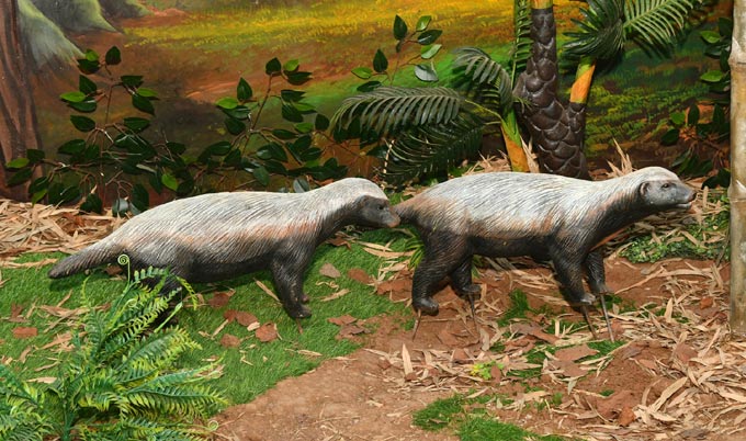 Animals : ఆకట్టుకుంటున్న నల్లమల వన్యప్రాణుల బొమ్మలు | Nallamala forest ...