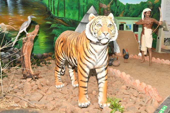 Animals : ఆకట్టుకుంటున్న నల్లమల వన్యప్రాణుల బొమ్మలు | Nallamala forest ...