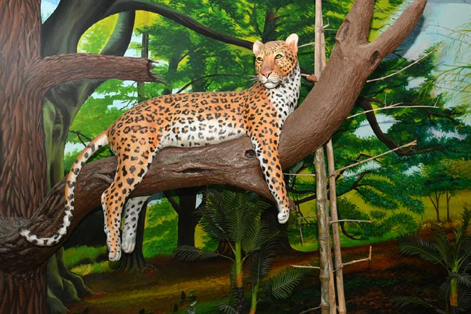 Animals : ఆకట్టుకుంటున్న నల్లమల వన్యప్రాణుల బొమ్మలు | Nallamala forest ...