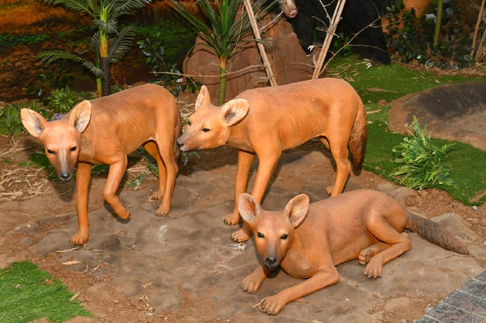 Animals : ఆకట్టుకుంటున్న నల్లమల వన్యప్రాణుల బొమ్మలు | Nallamala forest ...