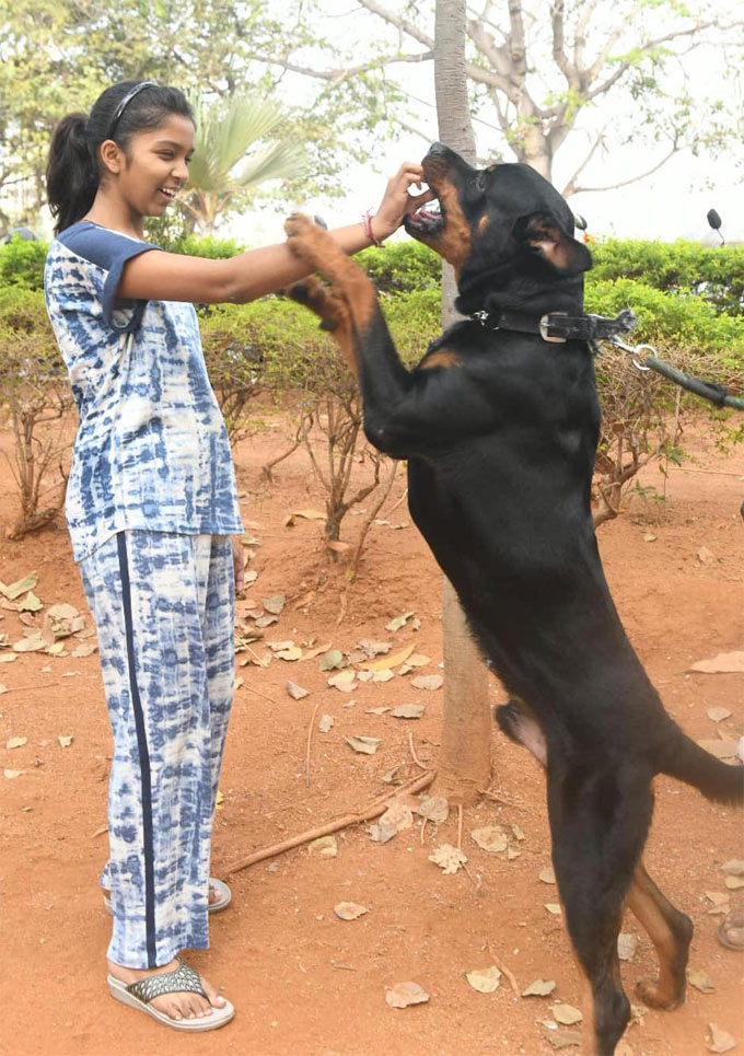 Dogs : జలవిహార్‌ వద్ద డాగ్స్‌ పార్కులో శునకాల సందడి | Different Dogs in ...