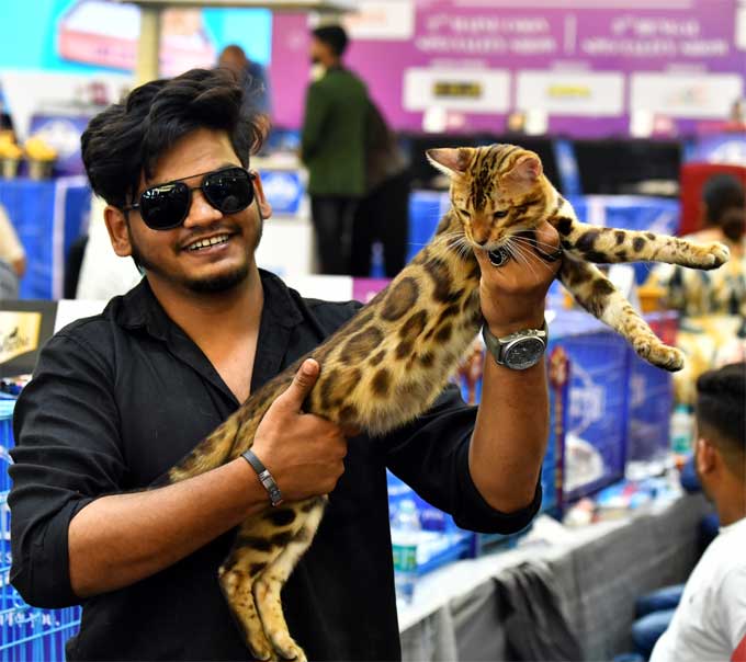 Hyderabad: ఉత్సాహంగా క్యాట్‌ షో | cat show in hyderabad