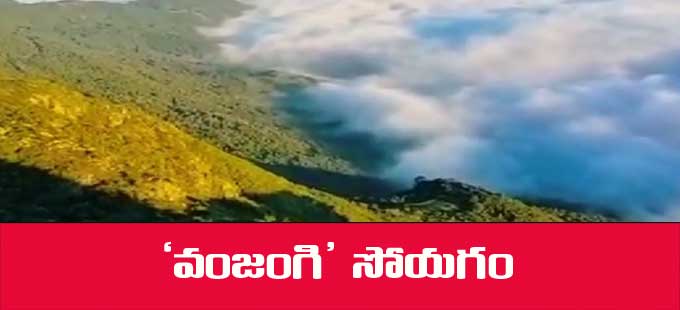 Vanjangi Hills: పర్యాటకులను ఆకర్షిస్తున్న వంజంగి కొండల ప్రకృతి అందాలు ...