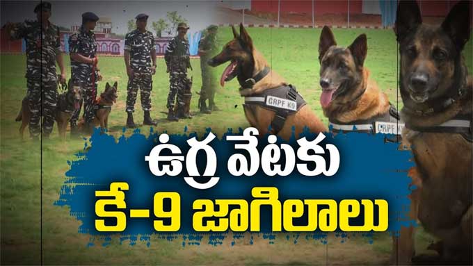 K 9 Dogs Squad: K9 జాగిలాలు.. దేశ సేవలో వీటిది ప్రత్యేక పాత్ర | k 9 ...