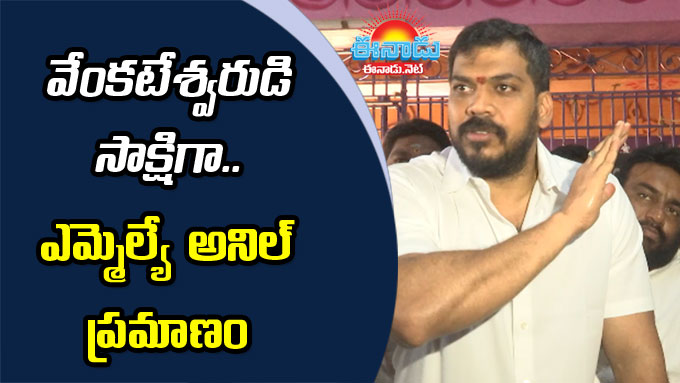 AP News: వేంకటేశ్వరుడి సాక్షిగా వైకాపా ఎమ్మెల్యే అనిల్‌ ప్రమాణం | mla anil took oath on the ...