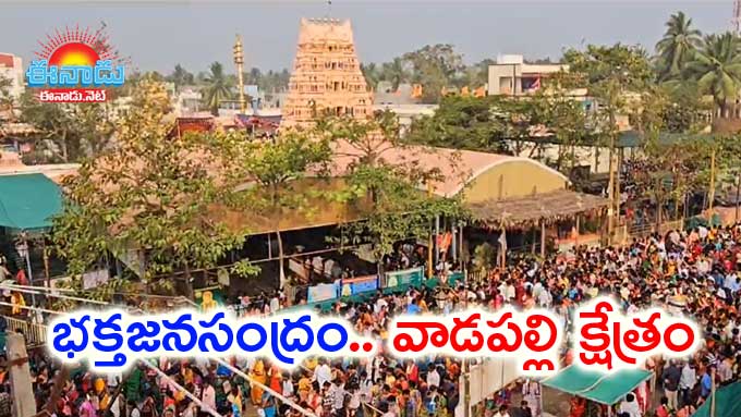 Vadapalli: భక్తజనసంద్రంగా వాడపల్లి వేంకటేశ్వరస్వామి ఆలయం | devotees ...