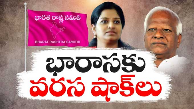 Kadiyam Kavya: వరంగల్ బరిలో నుంచి తప్పుకున్న భారాస అభ్యర్థి కడియం కావ్య ...